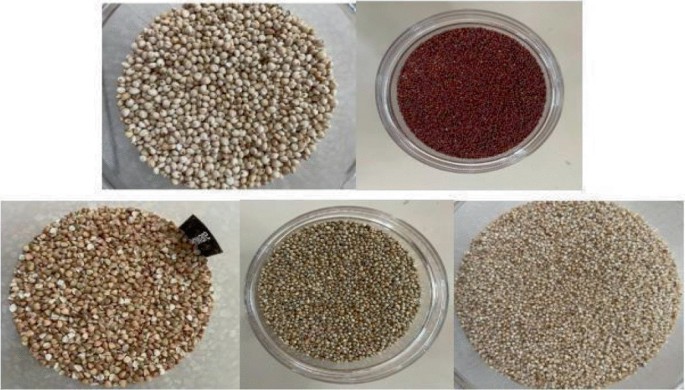 Development of Automated Millet Identification and Billing System ...
