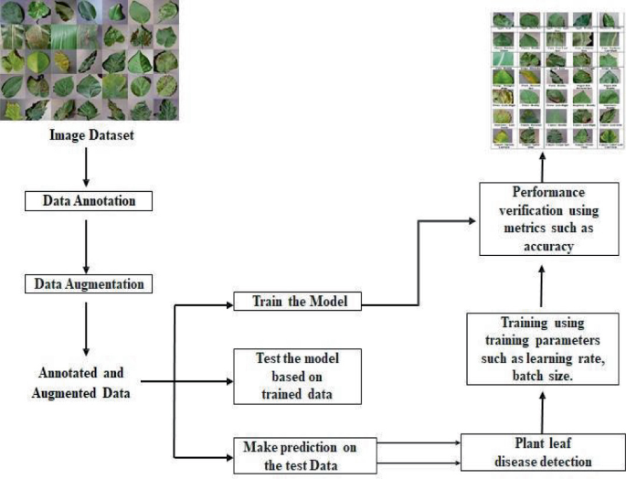 A Deep Learning Approach for Plant Disease Detection Using Custom CNN ...