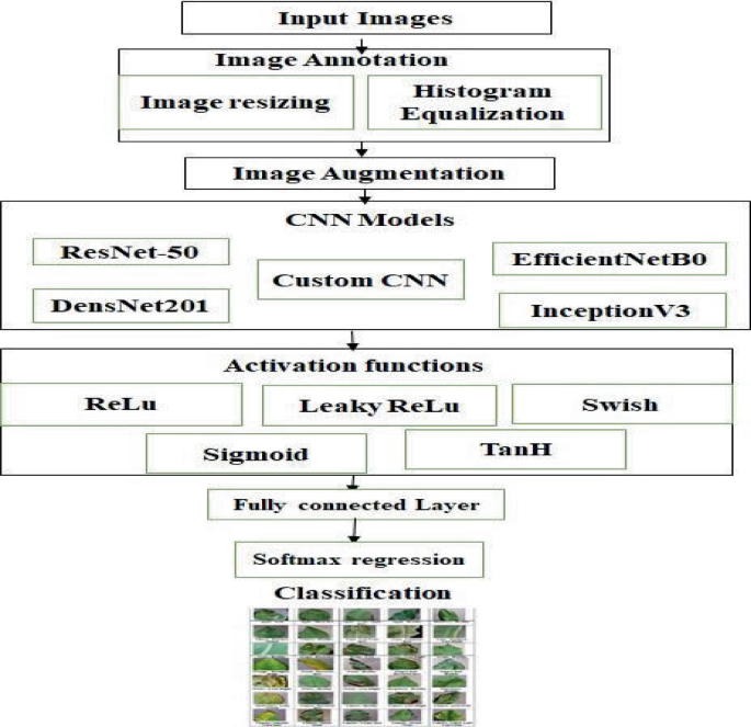 A Deep Learning Approach for Plant Disease Detection Using Custom CNN ...