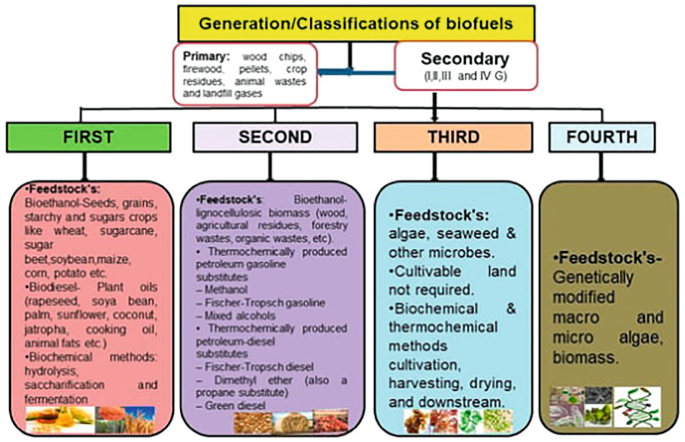 Fourth-Generation Biofuels: Genetic Engineering for Sustainable Energy | SpringerLink