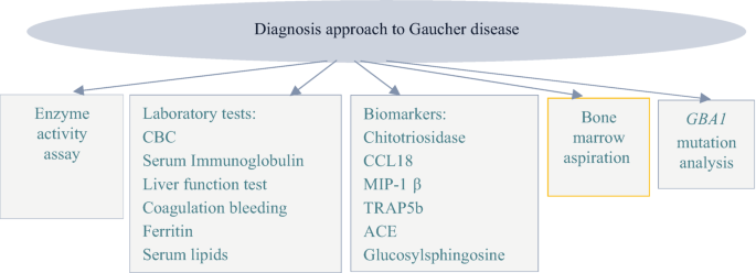 Overview of Diagnostic Approach to Gaucher Disease | Springer Nature Link