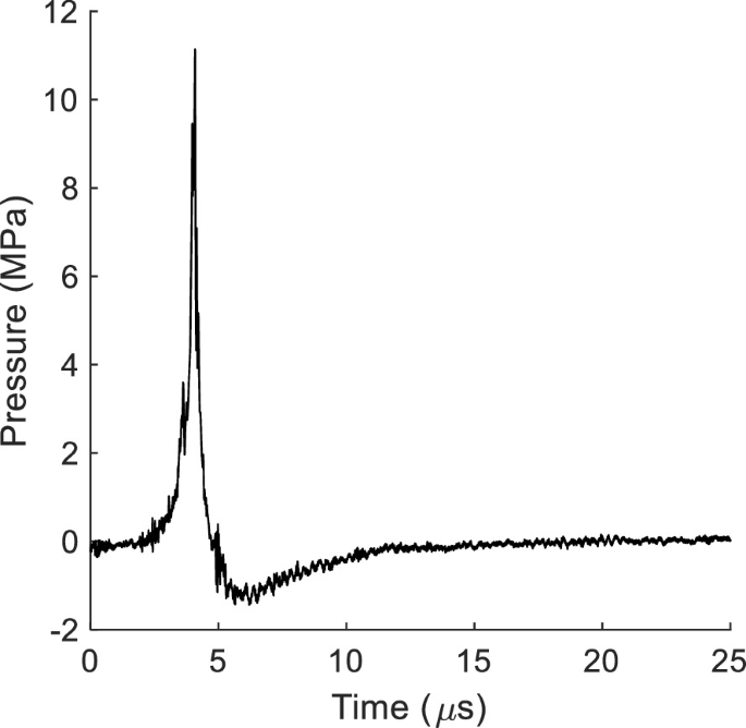 Towards Single-Cell Shock Wave-Mediated Drug Delivery | SpringerLink