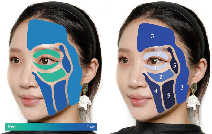 Changes in the Face Related to Aging Process | SpringerLink