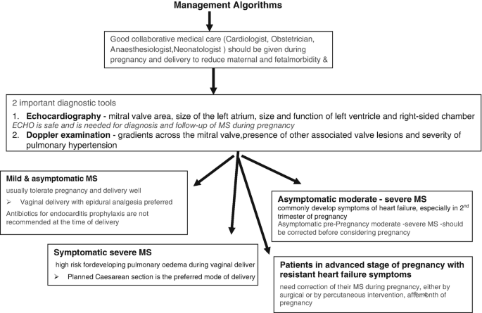 Rheumatic Heart Disease in Pregnancy | Springer Nature Link