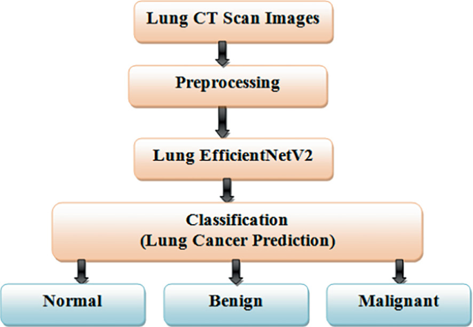 Lung Cancer Stage Estimation Using EfficientNetV2B2: Formulating Gene ...