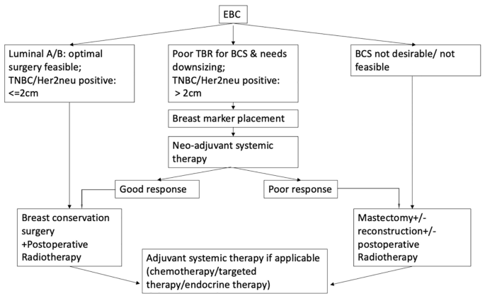 Staging and Management of Breast Carcinoma | SpringerLink