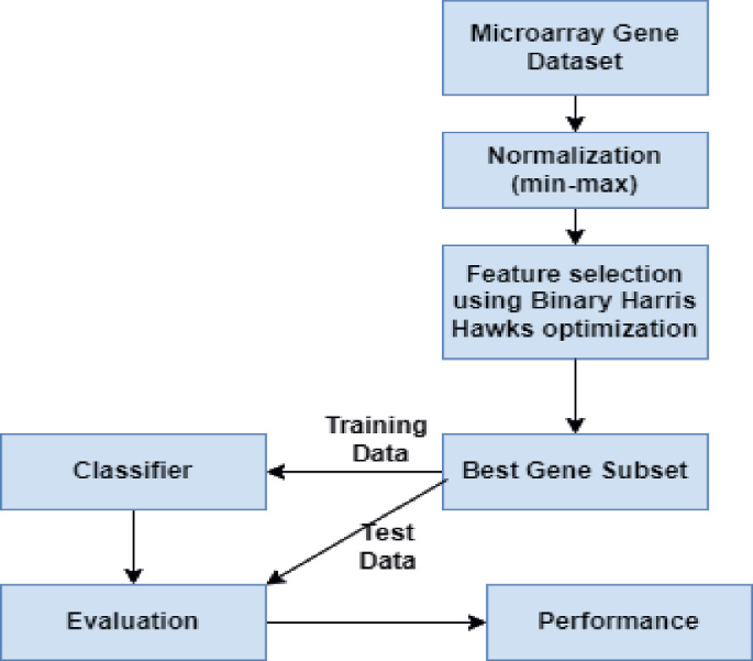Binary Harris Hawks Optimization Based Feature Selection for Breast Tumor Diagnosis | SpringerLink