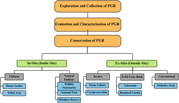 Biotechnological Strategies for Seed Germplasm Maintenance and Plant ...