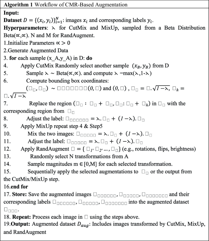Enhancing Rice Leaf Disease Detection Using CMR-Based Augmentation with ...