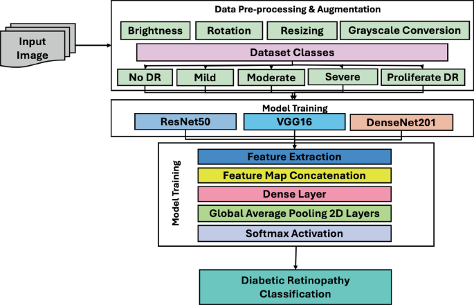 Diabetic Retinopathy Detection Using an Advanced Deep Learning TriNet ...