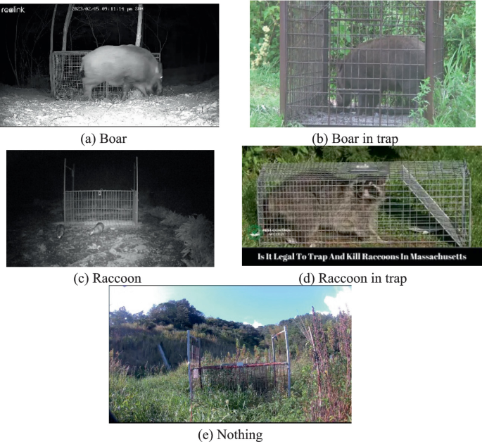Optimization of Automatic Boar Recognition Models for Microcontrollers by Framework Selection ...