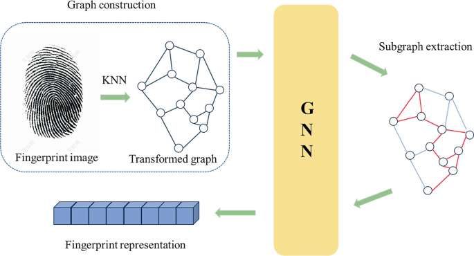 Fingerprint Representation Learning with GNN and Subgraph Extraction ...