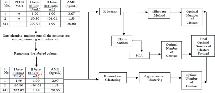 Clustering Medical Data to Predict the Likelihood of PCOS in Women ...
