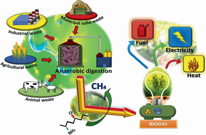 Fundamentals of Biogas Technology | SpringerLink