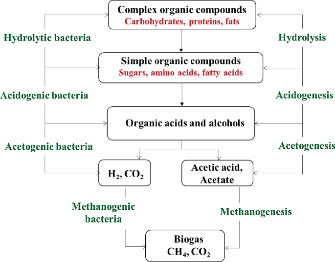 Fundamentals of Biogas Technology | SpringerLink