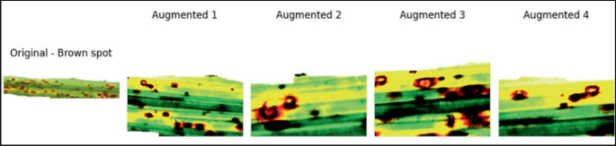 Early Identification of Rice Leaf Diseases Using Deep Learning | Springer Nature Link (formerly ...