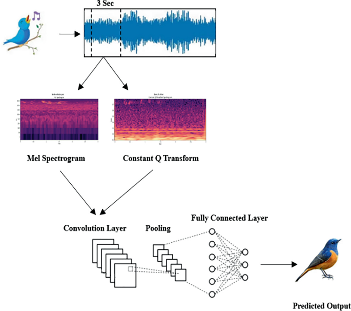 Deep Learning-Based Bird Species Identification from Audio Recordings ...