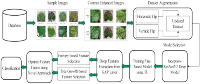 Optimized Deep Learning Framework for Fruit Disease Detection Using ...