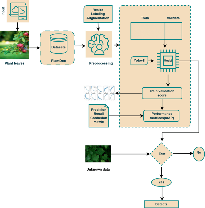 Leaf Disease Detection Using YOLOv8 | SpringerLink