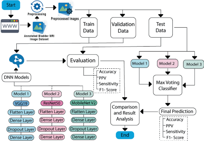 Deep Learning Approaches for the Differential Diagnosis of Benign and ...