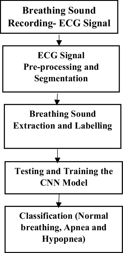 Screening and Robust Detection of Obstructive Sleep Apnea Using Convolutional Neural Network ...