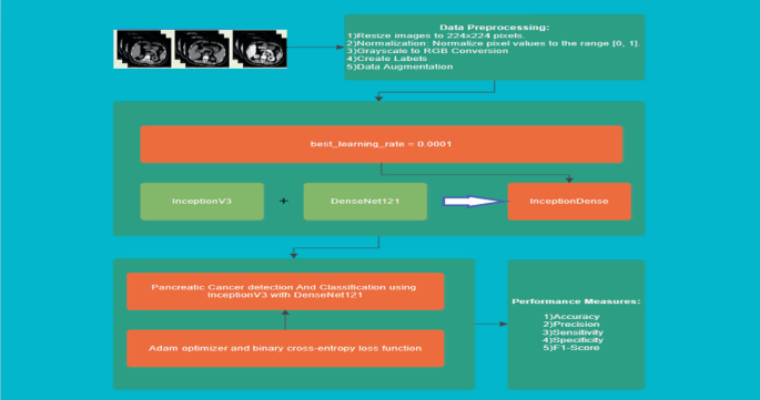 Advanced Techniques in Deep Learning for Pancreatic Cancer Detection ...