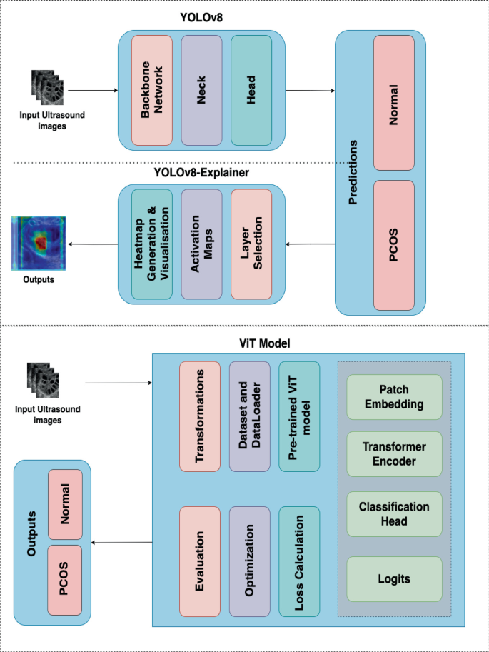 Explainable AI for PCOS Diagnosis: A YOLOv8 and Vision Transformer ...