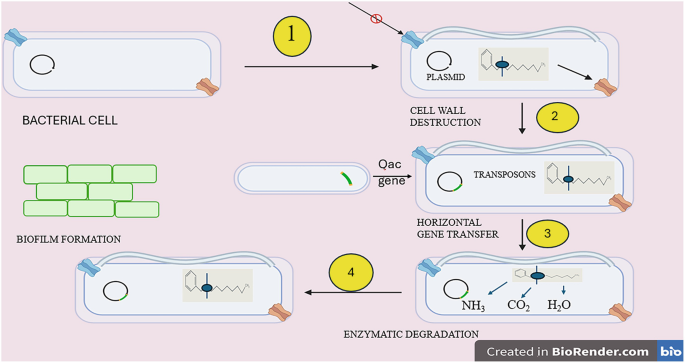 Role of Preservatives in Ophthalmic Products | SpringerLink