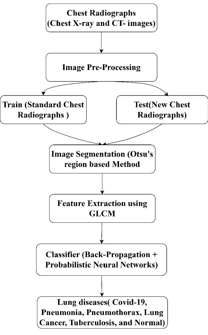 Segmentation and Classification of Pulmonary Diseases Using Artificial ...
