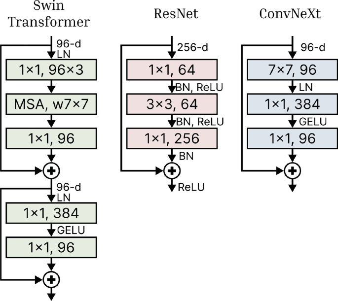 Enhanced Aerial Scene Classification Through ConvNeXt Architectures and ...