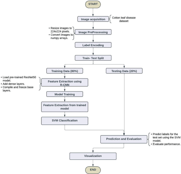 Enhancing Agricultural Resilience: Machine Learning-Driven Disease ...