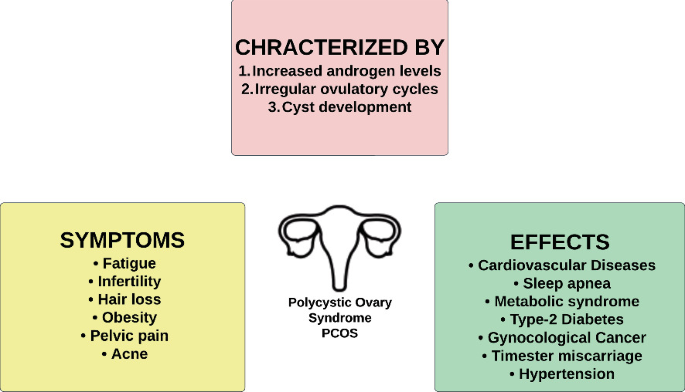 Comparative Analysis of Deep Learning Architectures for PCOS Detection ...