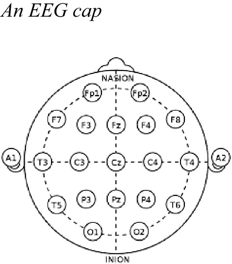 Do Musicians Perceive Happiness Differently? an EEG Based Neuro ...