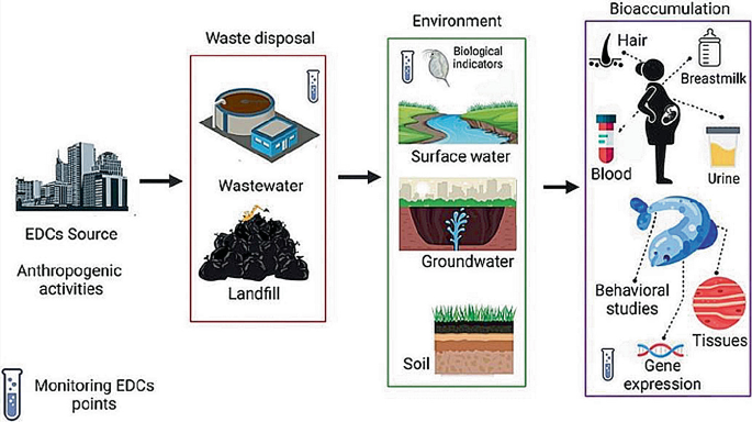 Application of Nanomaterials for Remediation of Emerging Pollutants in ...