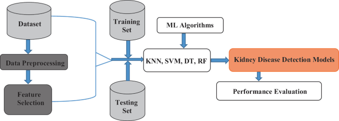 Toward Smarter Health Care: Machine Learning Solutions for Kidney ...