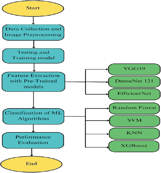 Classification of Chest X-Ray Images with Pre-trained Models and Machine Learning Classifiers ...