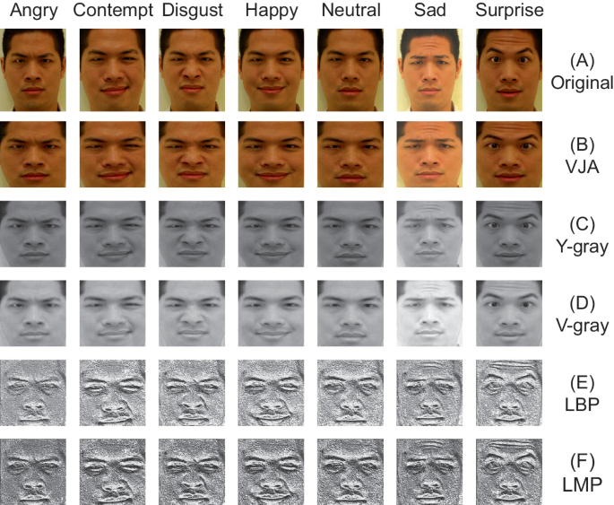Dataset Generating Methods for Best Facial Expressions Classification ...