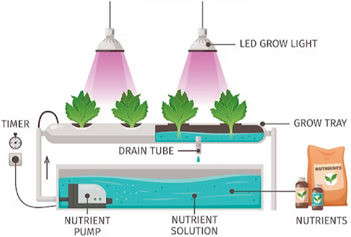 Design and Fabrication of Automatic Hydroponic System | SpringerLink