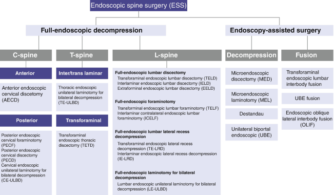 The Basic Concept, Setting, and Instruments of Unilateral Biportal ...