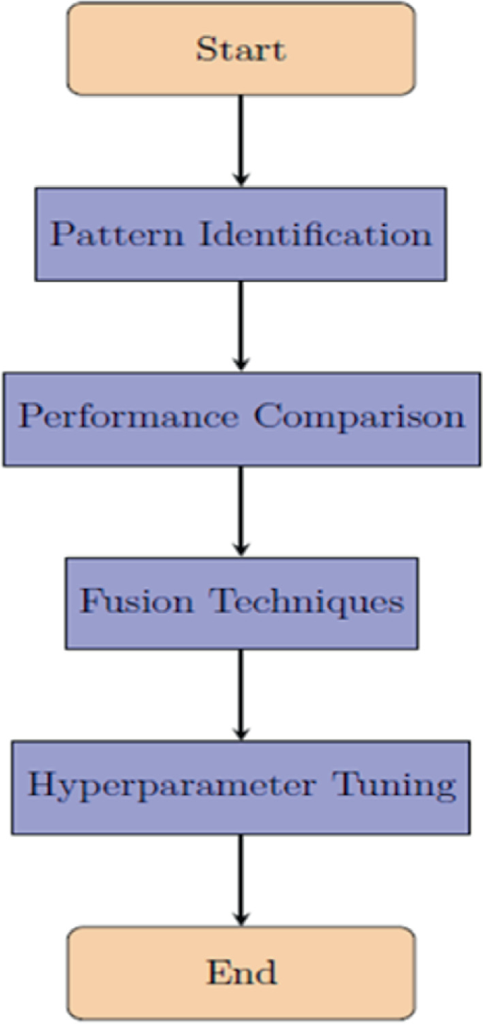 Enhancing Fake News Detection: A Conceptual Framework Integrating ...