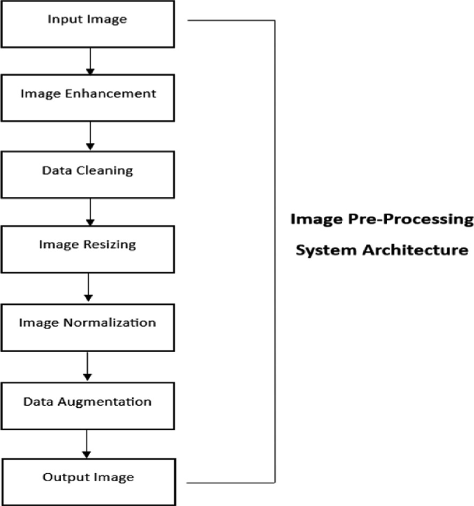 Proposed Image Pre-processing Techniques for Enhanced Disease Detection ...