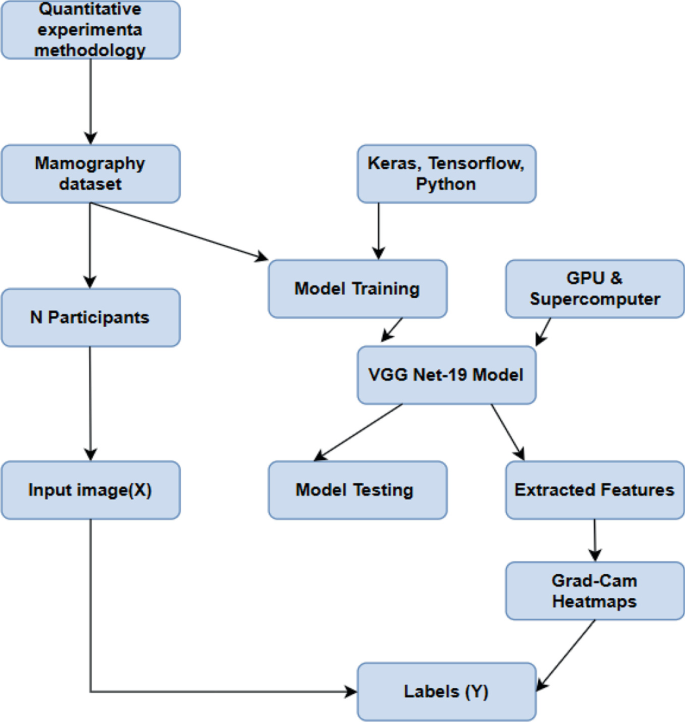 Breast Cancer Detection with Enhanced Interpretability Using VGGNet-19 ...