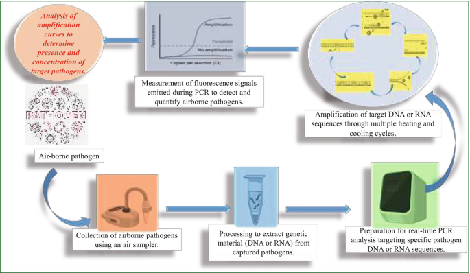 Real-Time PCR: An Emerging and Quick Technique for Detection of ...