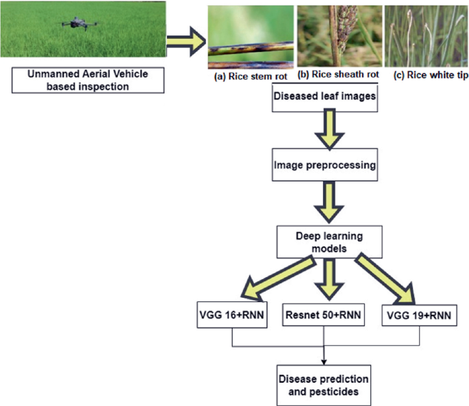Deep Learning for Crop Disease and Pest Detection in UAV-Based Remote ...