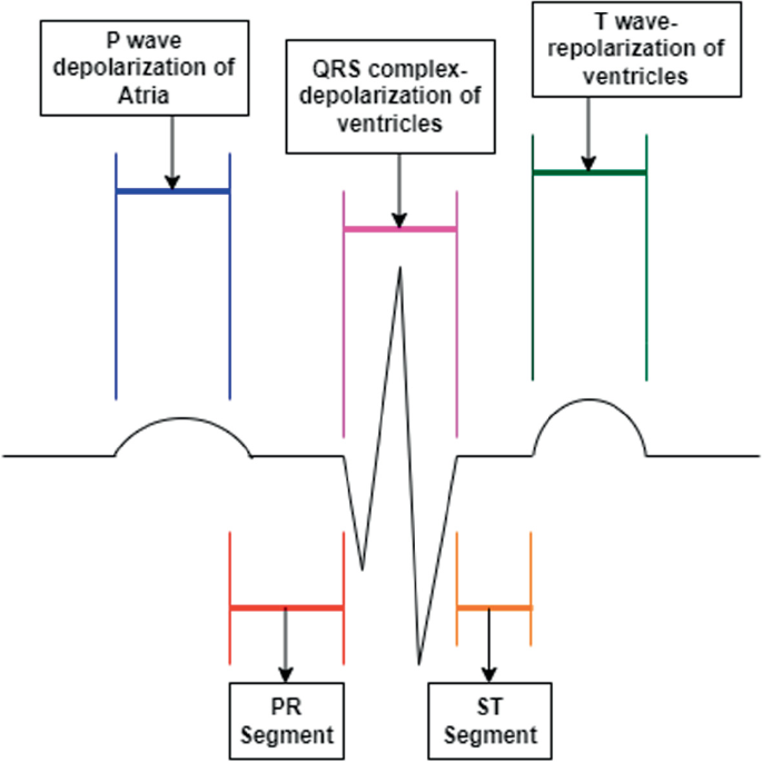 Signal Processing Innovations in Fetal ECG Analysis for Prenatal Monitoring | Springer Nature ...