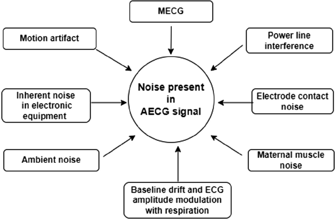 Signal Processing Innovations in Fetal ECG Analysis for Prenatal ...