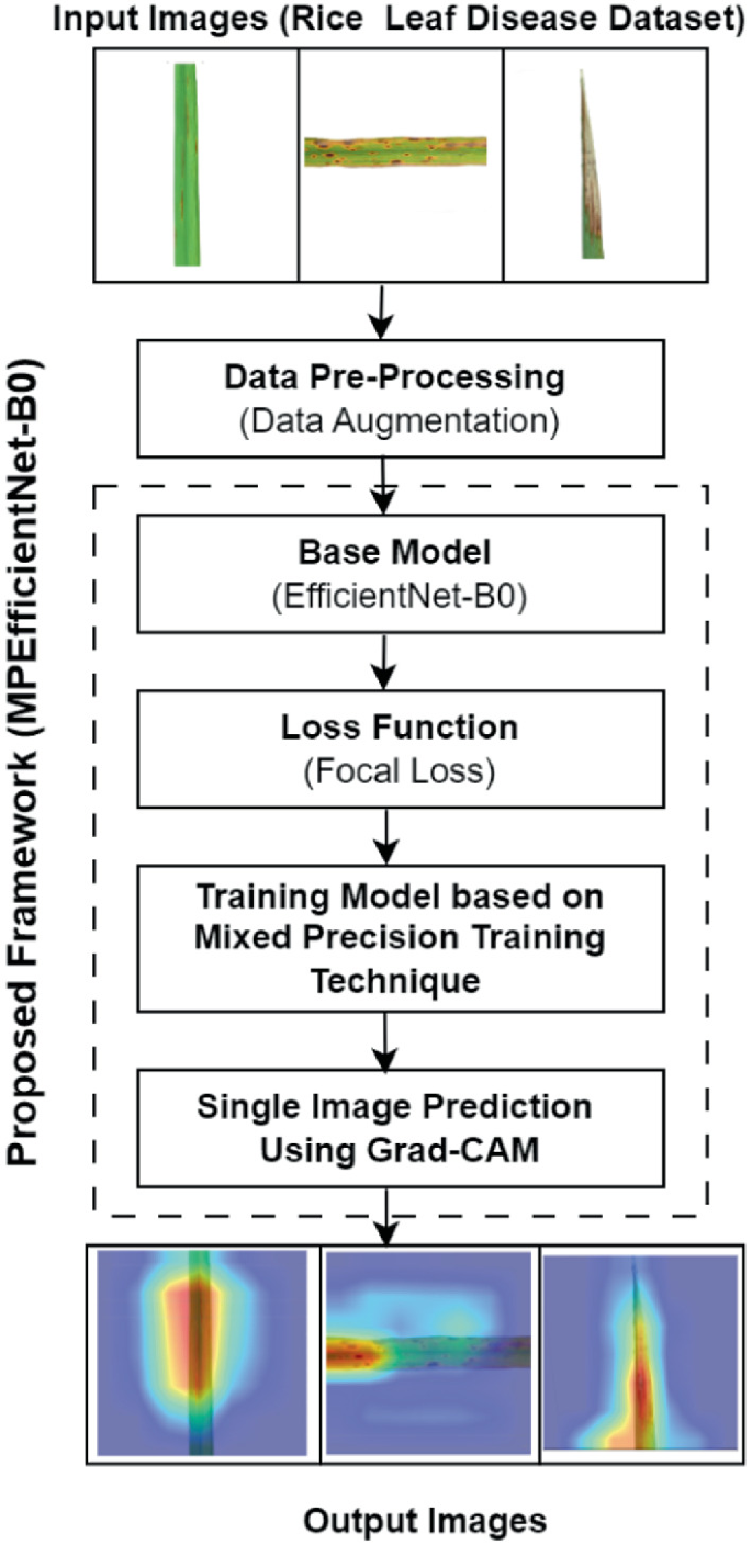 An Optimal Framework for Rice Leaf Disease Prediction Using Mixed ...