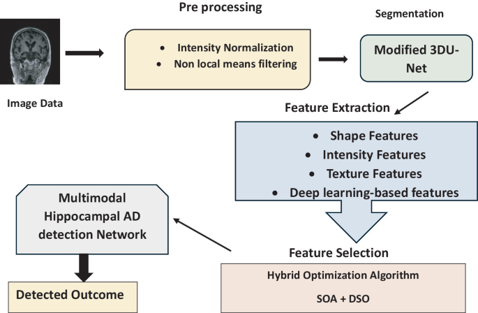 Deep Learning Framework for Detecting Hippocampal Irregularities in ...