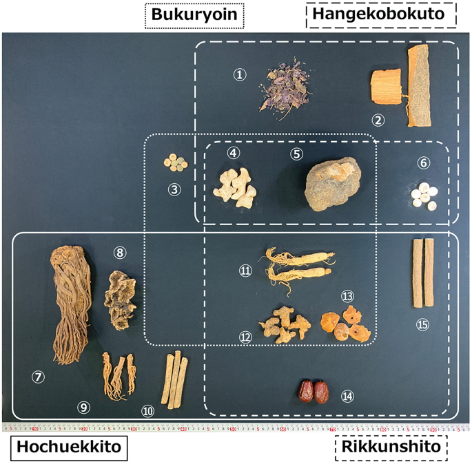 Commentary of Kampo Formulas | Springer Nature Link