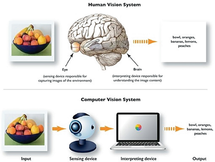 Object Detection Using Deep Learning Model YOLOv4 Tiny Model | Springer ...